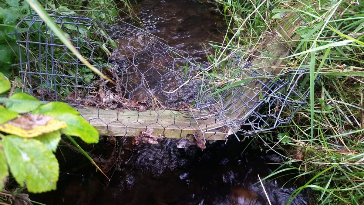 HUNDREDS OF TRAPS DAMAGED, DESTROYED OR STOLEN FROM SCOTTISH SHOOTING ...