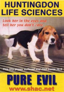 AFTER THE RELEASE OF THE ANIMAL PEOPLE, SOME OF THE SHAC UK FOLKS HAVE ...