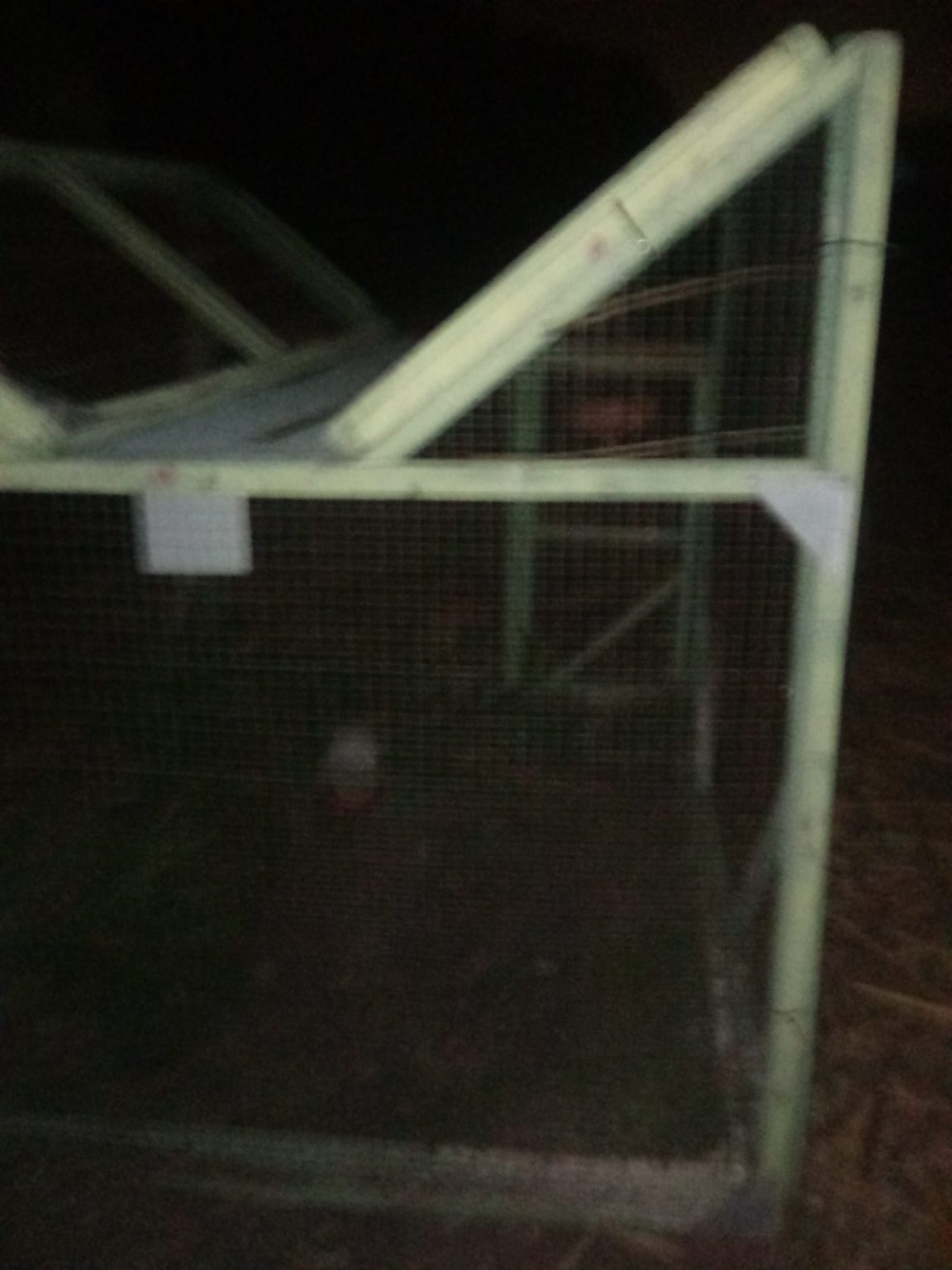 COWBIRD TRAP DESTROYED, BIRDS RELEASED. ACTION DEDICATED TO WILL VAN ...