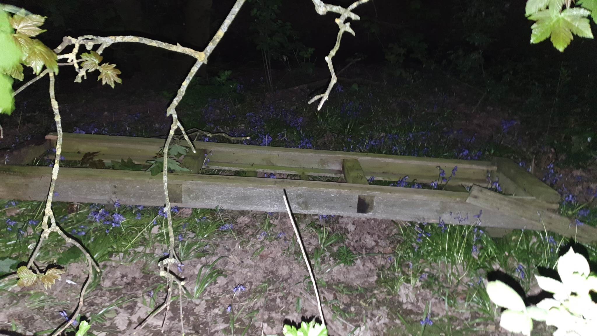 ANONYMOUS ACTIVISTS DESTROY HUNTING TRAPS IN THE COUNTRYSIDE ...