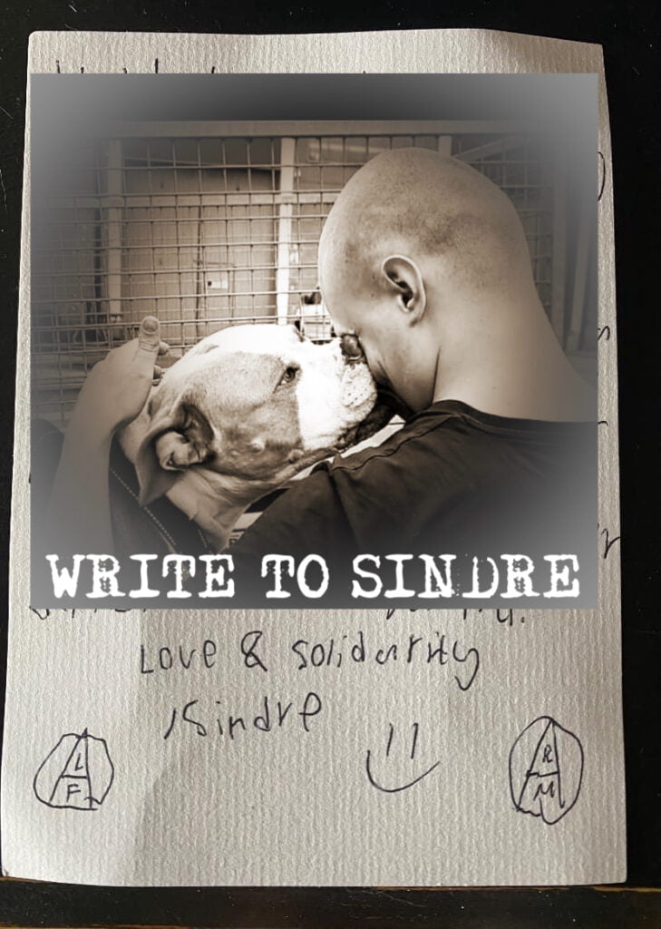 SINDRE HAS RECEIVED LETTERS – Unoffensive Animal