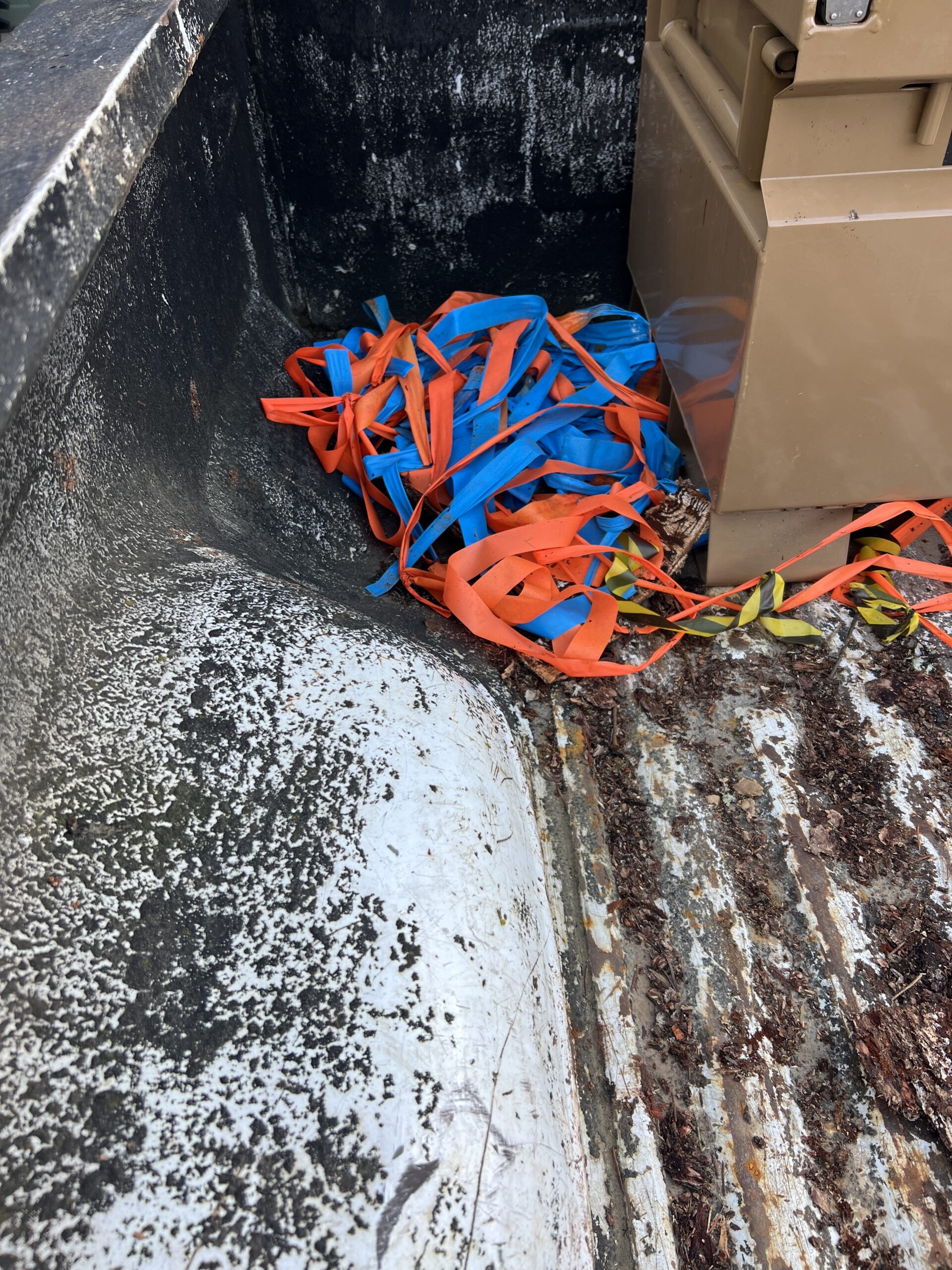 THE ELF SABOTAGES THE FELLING OF 35 TREES. – Unoffensive Animal