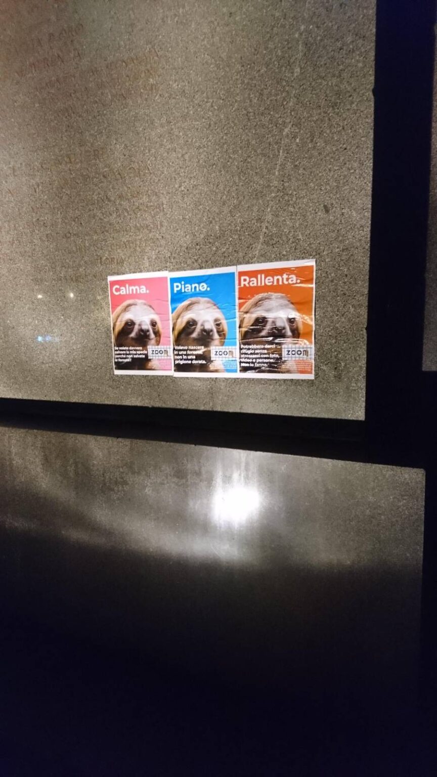 TORINO ZOO WHEATPASTED BY ACTIVISTS. – Unoffensive Animal